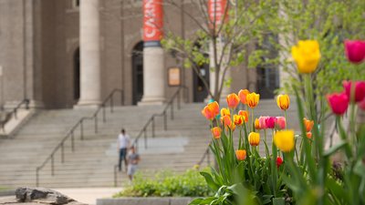 Carnegie Library Stacks Closed Fall 2021 - Syracuse University Libraries