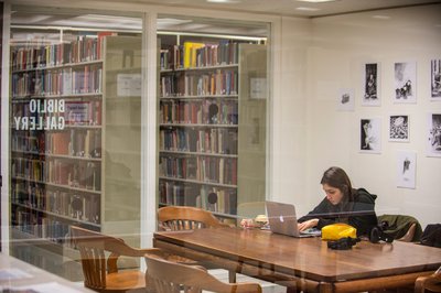 Libraries Seeking Student Artists to Exhibit in Biblio Gallery ...